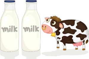 Latte_mucca - Blogmamma.it