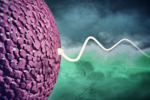 Perdite da impianto tra i primi sintomi della gravidanza - Blogmamma.it